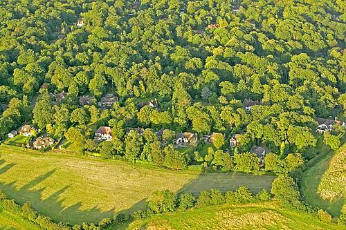 Tewin Wood - Tewin Village