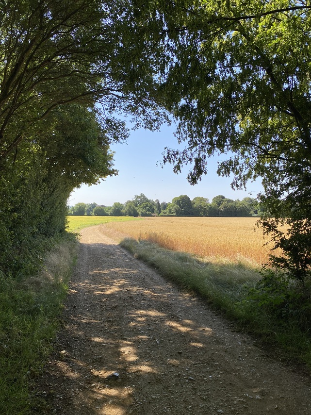 Welcome to Tewin - Tewin Village